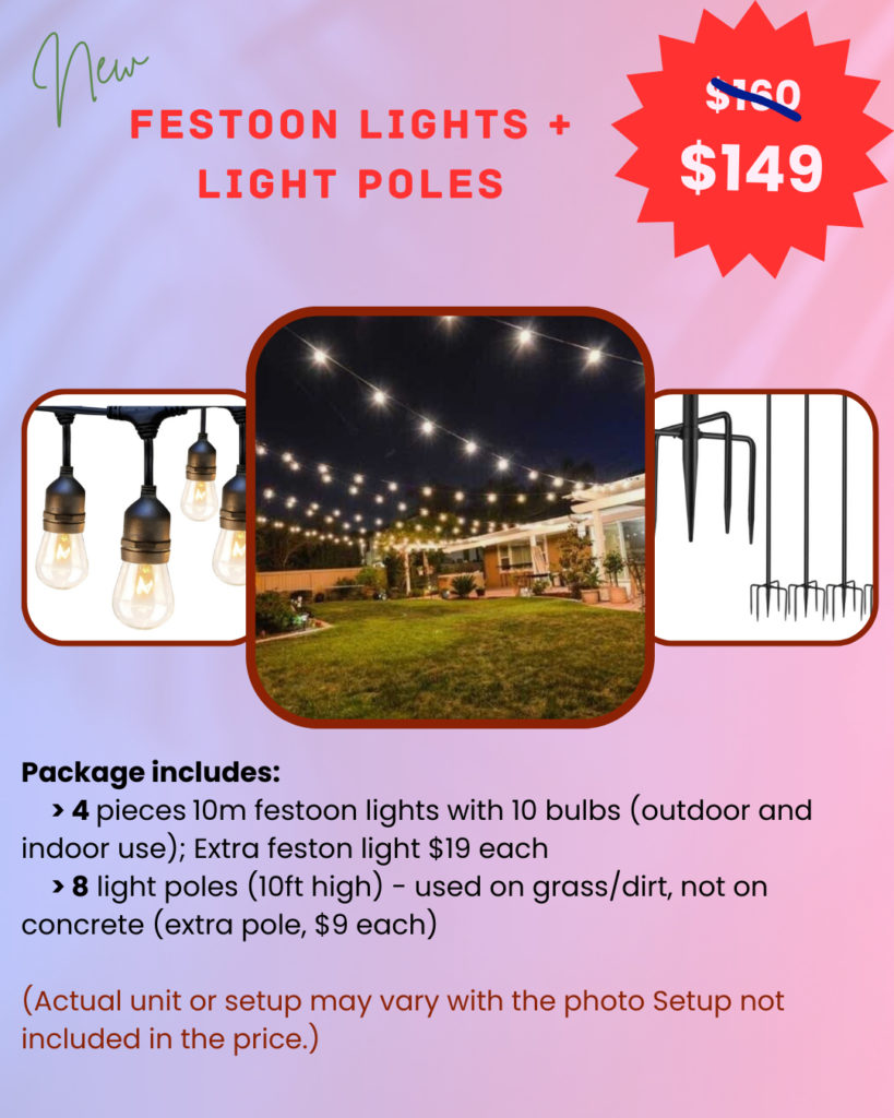 Festoon lights and light poles - Love It Party Hire